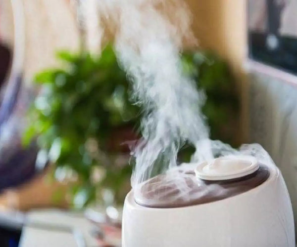Breathing Easier: How Humidifiers Can Improve Indoor Air Quality and H ...